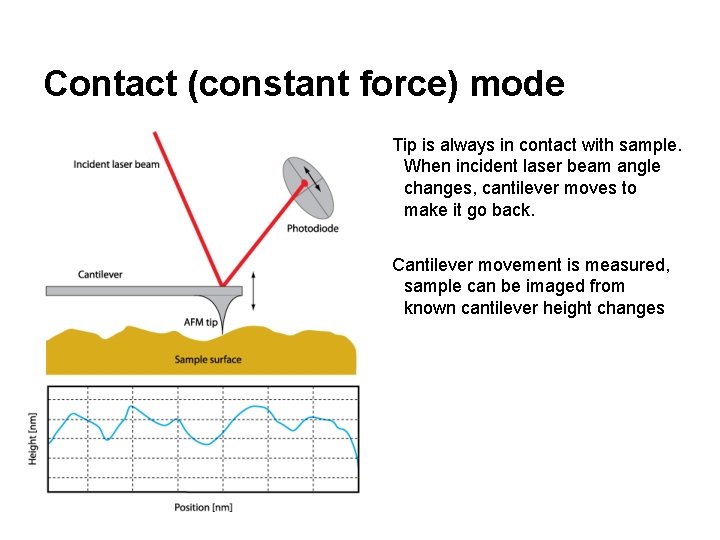Atomic Force Microscopy Andrew Rouff and Kyle Chau