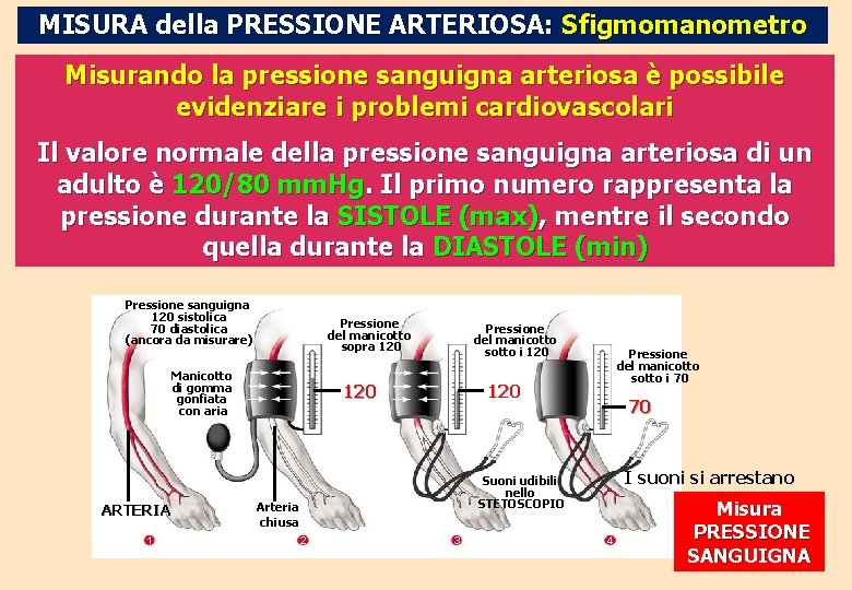 BIOLOGIA Il corpo umano LEZIONE N 9 slide