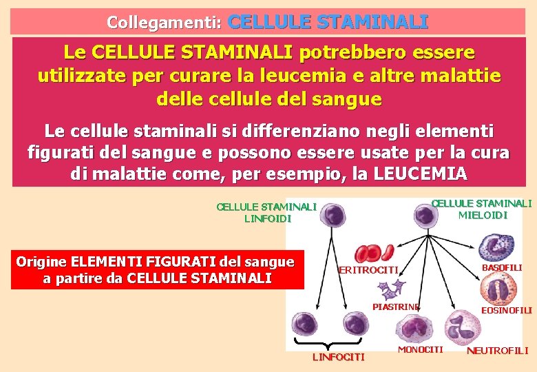 BIOLOGIA Il corpo umano LEZIONE N 9 slide