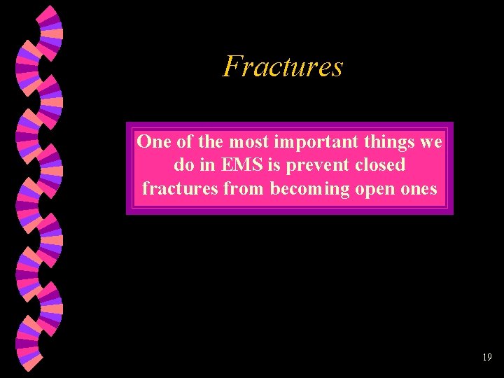 1 Musculoskeletal System Temple College EMS Professions Musculoskeletal