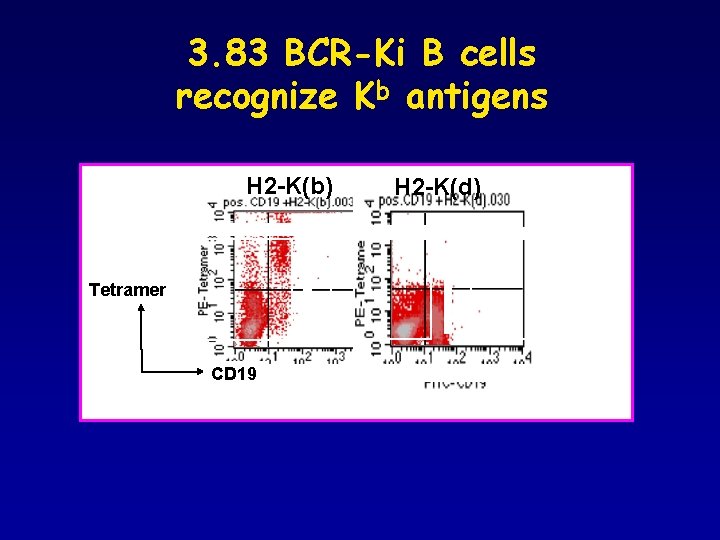 Peripheral Control of Alloreactive B cells Anita Chong