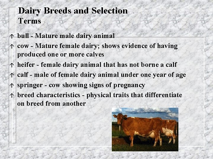 Dairy Breeds and Selection Dairy Breeds and Selection