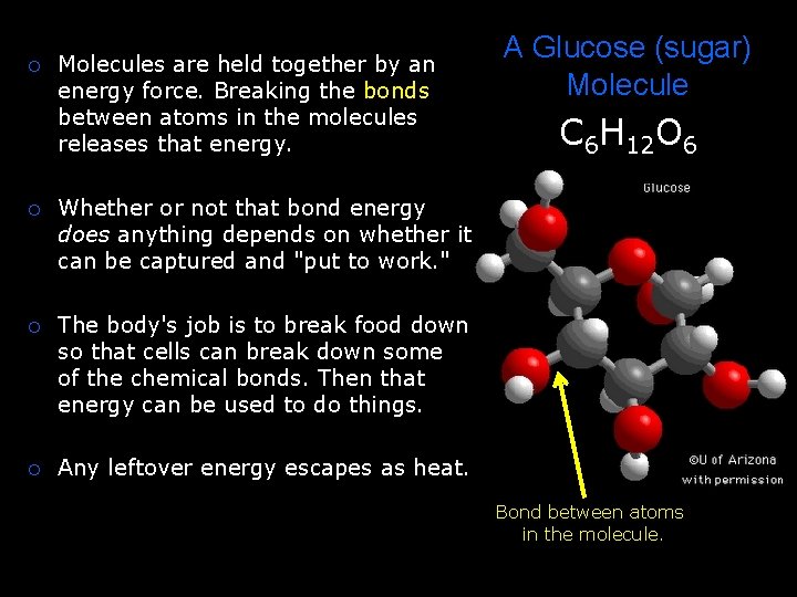 How the Body Obtains and Uses Energy Copyright