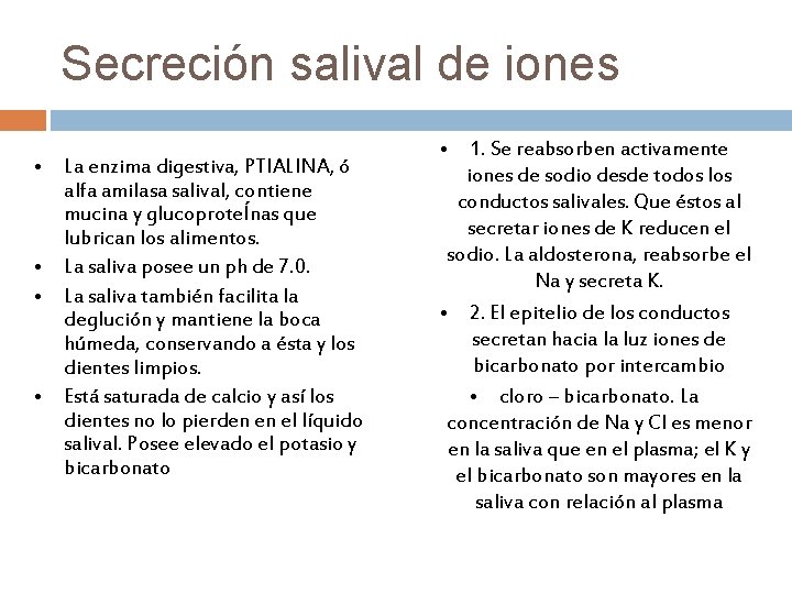 Captulo 6 Clase 6 Glndulas salivales Secrecin salivar
