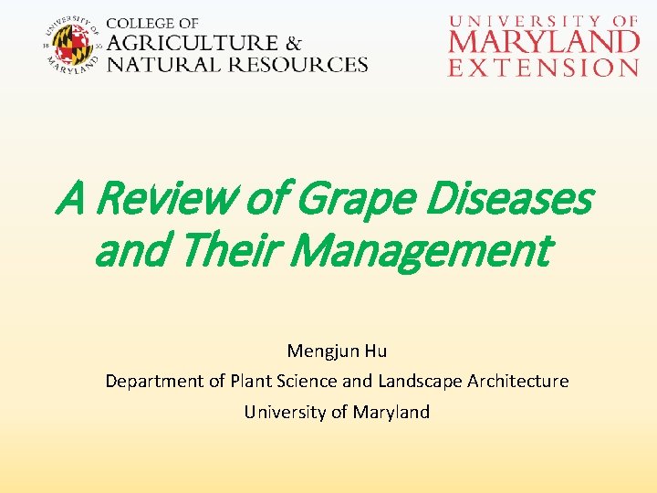 A Review of Grape Diseases and Their Management