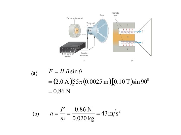 Chapter 21 Magnetic Forces and Magnetic Fields Outline