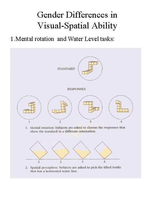 Gender Role Development I Introduction A Categorizing males