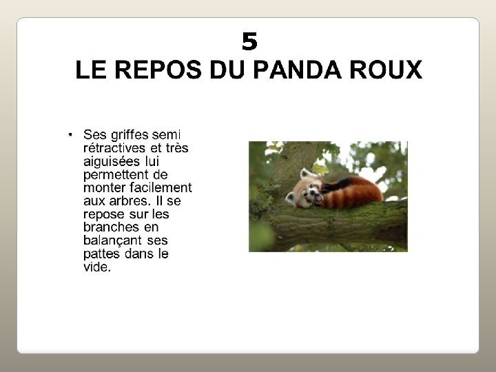 Le panda roux Sommaire 1 Description 2 Habitat
