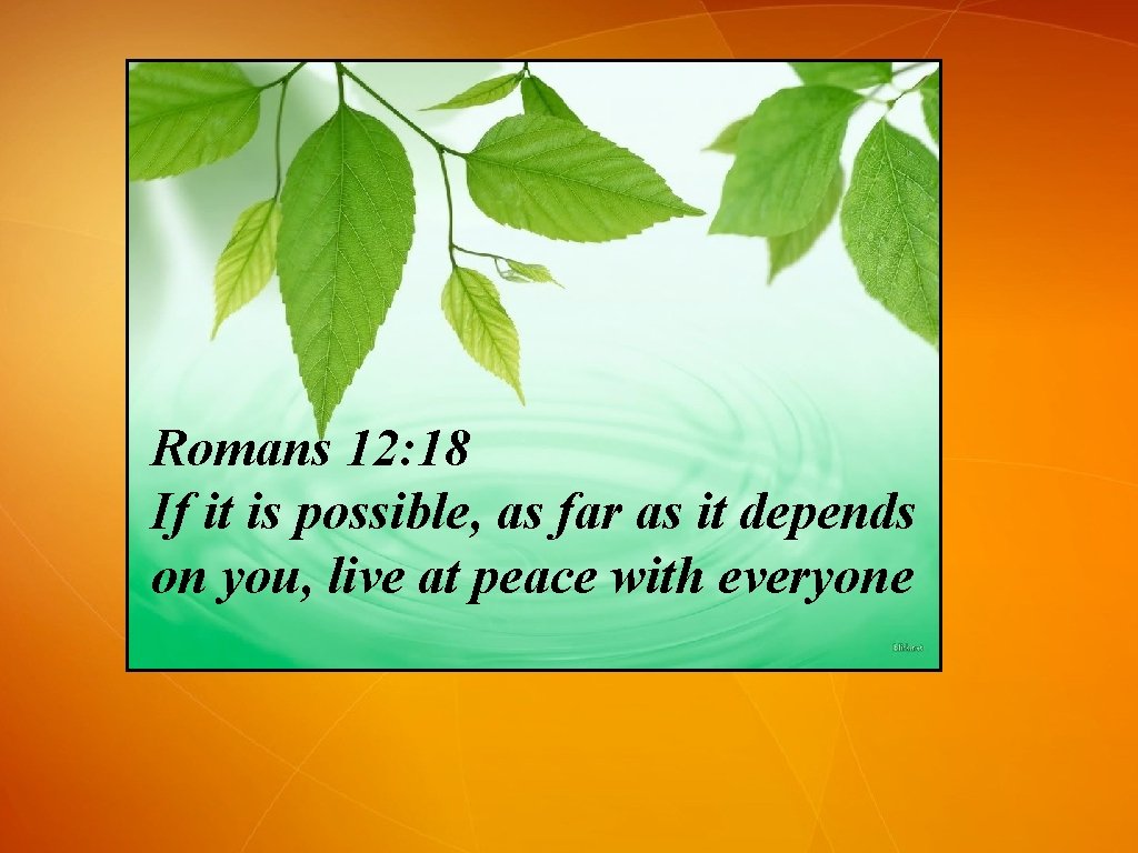 Constructive Conflict Our lives and everything we do