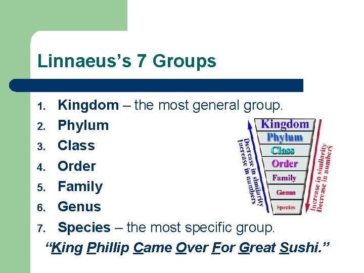 Unit 5 c History of Biological Diversity Chapter