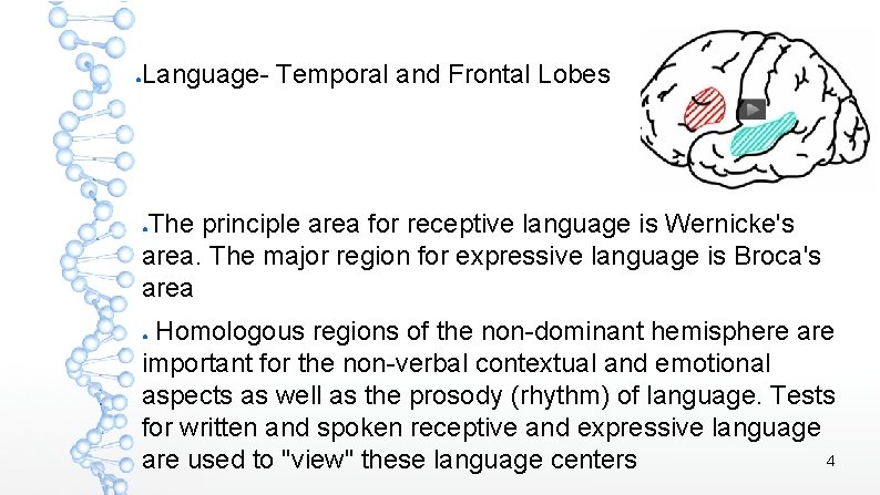 Examination of higher cerebral functions DR ABDULKADER DAIF