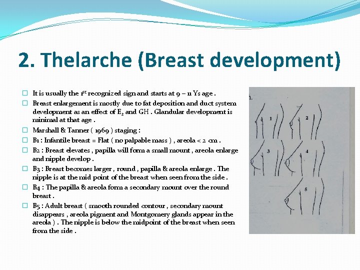 PUBERTY AND ADOLESCENCE Definition Adolescence it is the