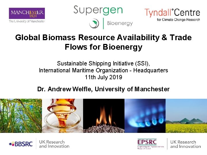 Global Biomass Resource Availability Trade Flows for Bioenergy