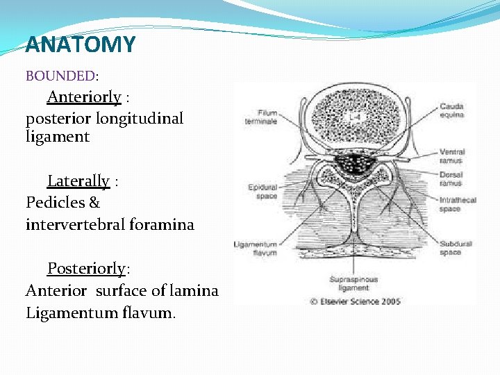 EPIDURAL ANAESTHESIA Dr P V Bhale Prof Anesthesia