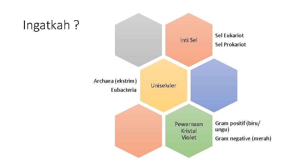 Gunadarma University Biokimia Bagian Bagian Sel Inti Mulyo
