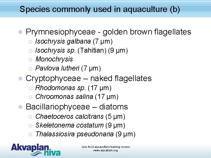 Algae its role species and production requirements Live