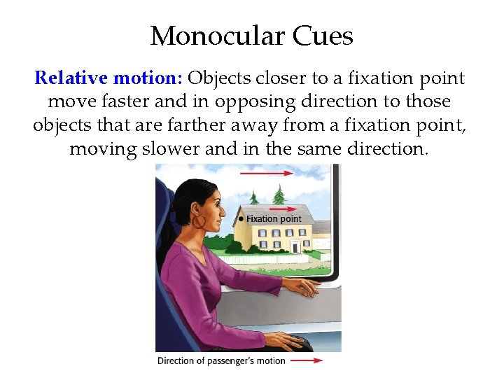 Perceptual Organization Chapter 6 Lecture 5 The motion