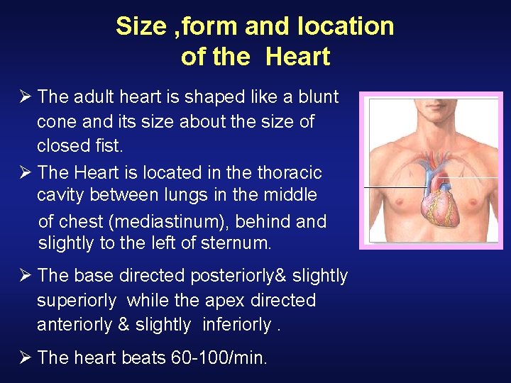Anatomy of the heart Dr SIA KOON KET
