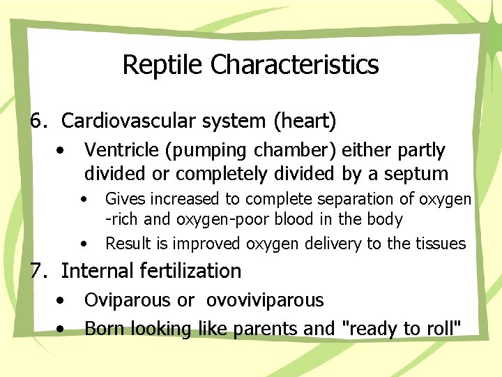 Reptiles Advanced Life Science Rainier JrSr High School