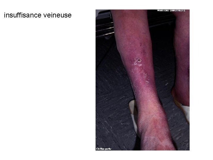 Les illustrations prsentes dans ce diaporama trouvent leurs