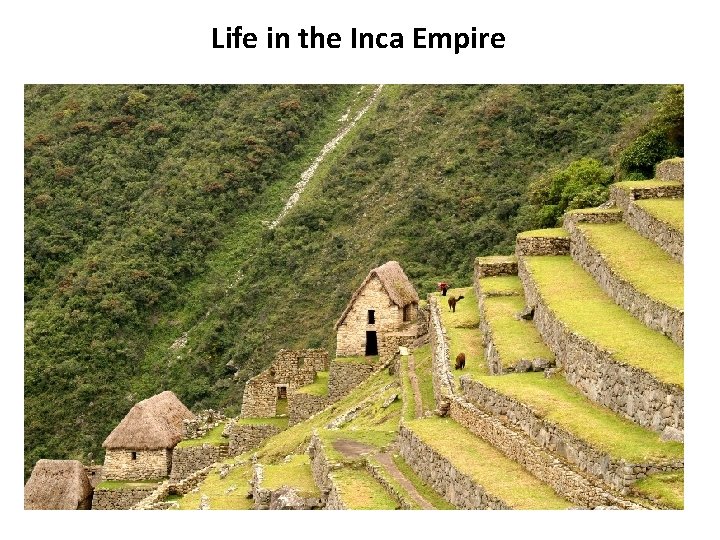 Life in the Inca Empire Life in the