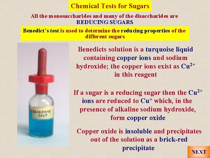 Glucose is an abundant and very important monosaccharide