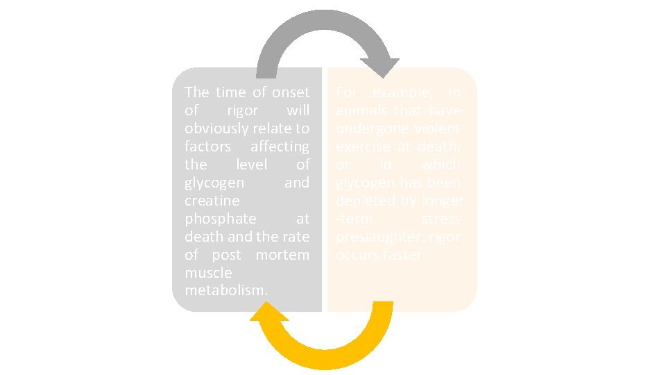 POST MORTEM CHANGES IN MUSCLE AND ITS CONVERSION