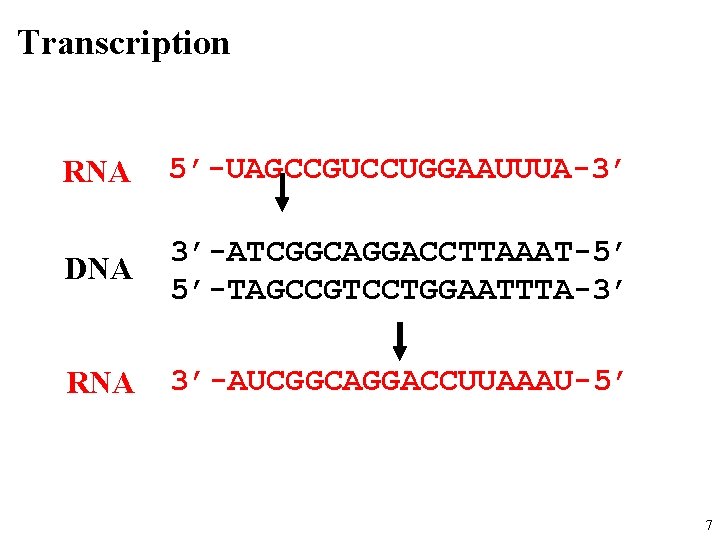 Decoding the Flu Adapted from Norris Armstrong University
