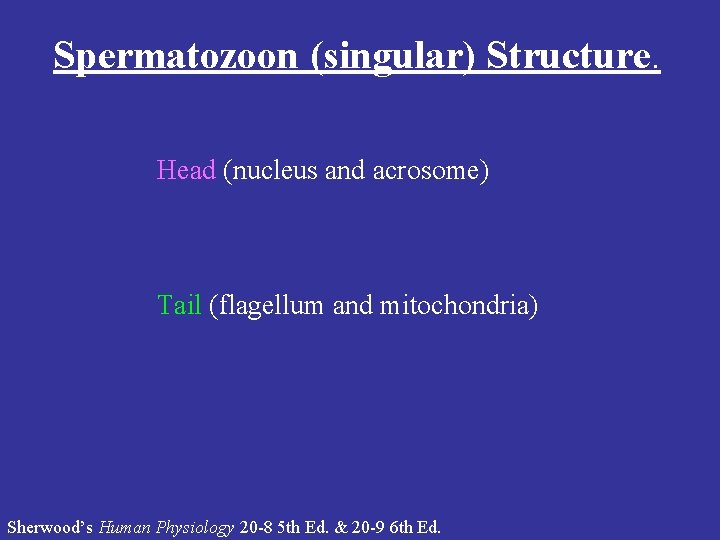 Spermatogenesis Spermatids differentiate into spermatozoa sperm From ...