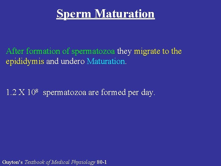 Spermatogenesis Spermatids differentiate into spermatozoa sperm From ...