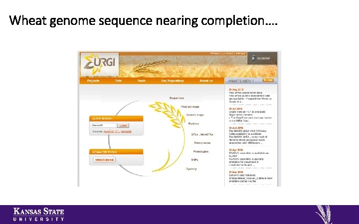 The Future of Wheat Genomics to Accelerate Wheat