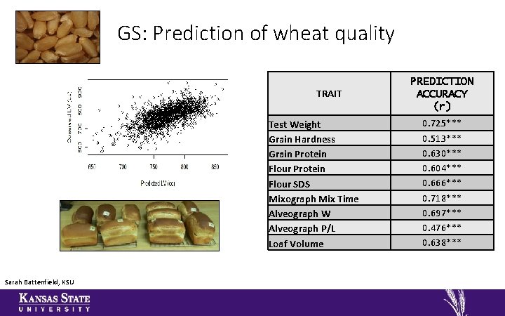 The Future of Wheat Genomics to Accelerate Wheat