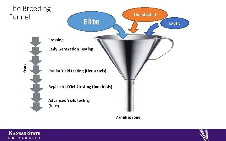 The Future of Wheat Genomics to Accelerate Wheat