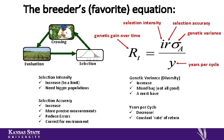The Future of Wheat Genomics to Accelerate Wheat
