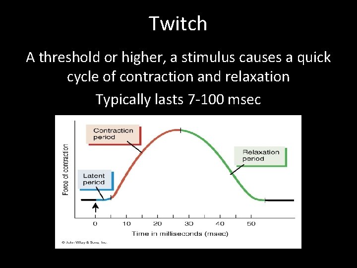 Unit 3 The Muscular System Lab 3 Muscle