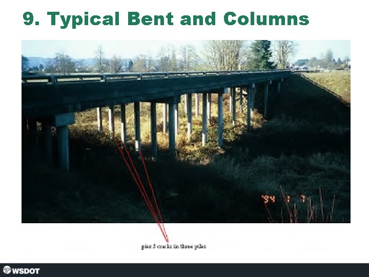 Post Seismic Bridge Inspection Columns 10 Steps of