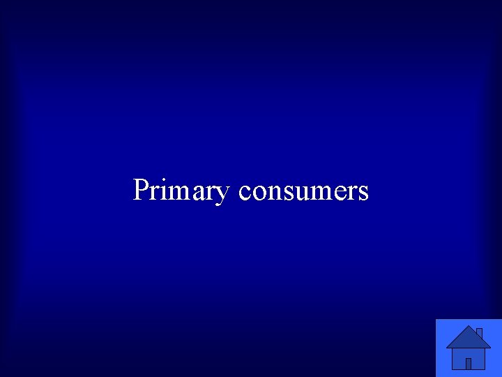 Biomes Relationships Vocabulary Food chains webs pyramids 100