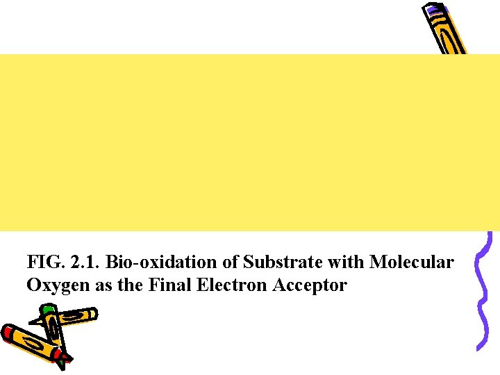 ERT 4163 CHAPTER 8 BIOREACTION DESIGN IN BIOPROCESS