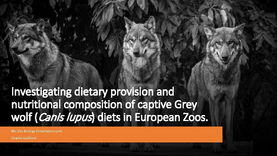Investigating dietary provision and nutritional composition of captive