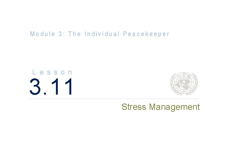 Module 3 The Individual Peacekeeper L e s