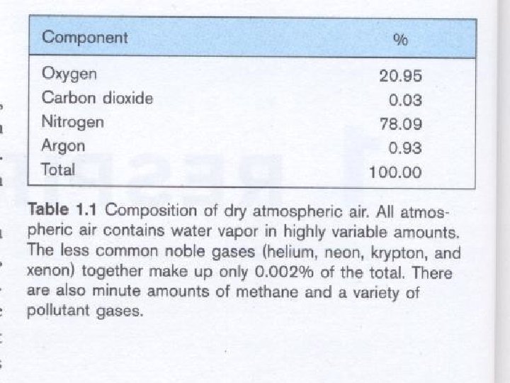 GENERAL AND COMPARATIVE ANIMAL PHYSIOLOGY Biology 556 Lecture