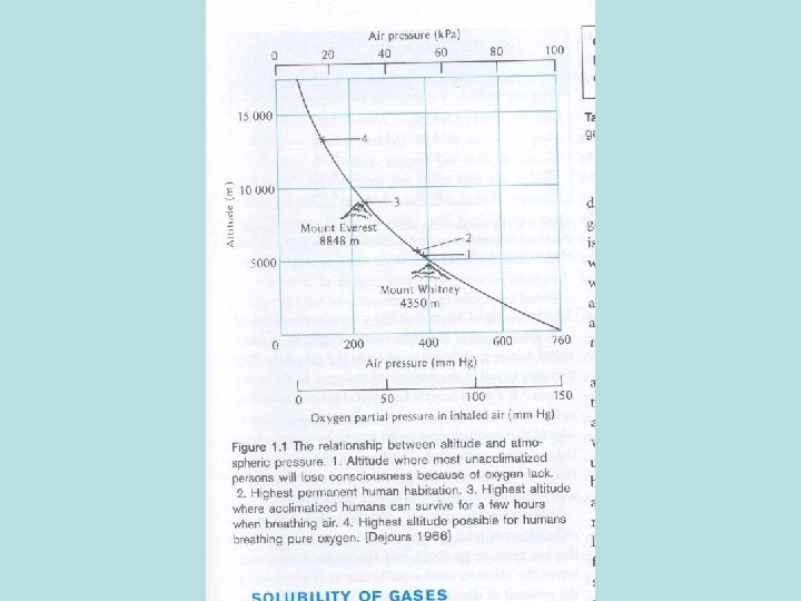 GENERAL AND COMPARATIVE ANIMAL PHYSIOLOGY Biology 556 Lecture