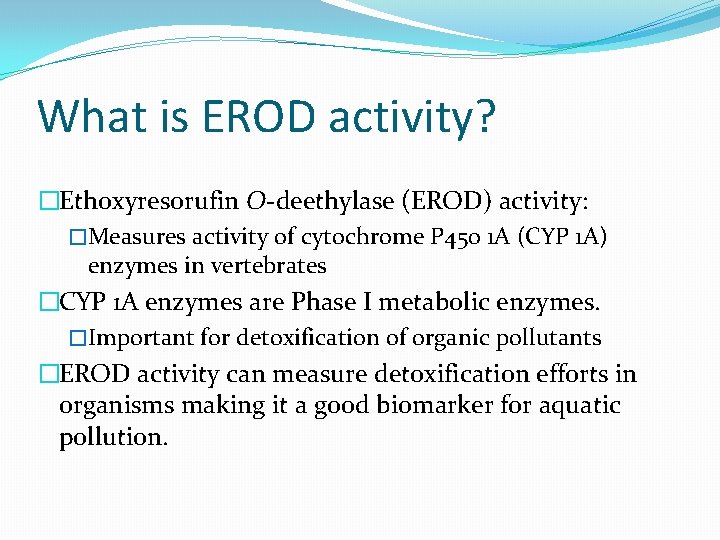 Is EROD activity affected by the molting cycle