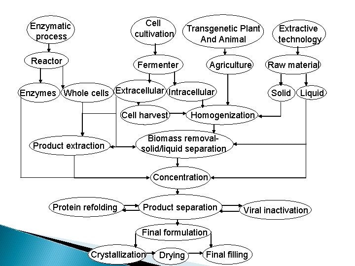 Simulation Of Bioprocess ERT 3154 Introduction Stages of