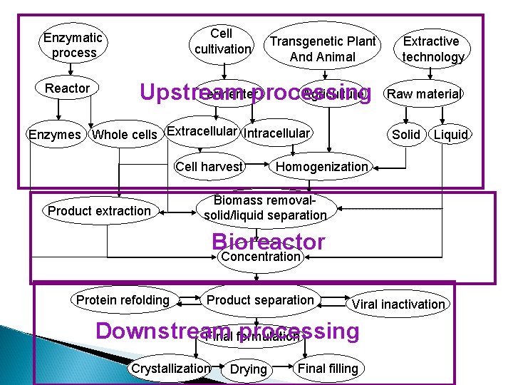 Simulation Of Bioprocess ERT 3154 Introduction Stages of