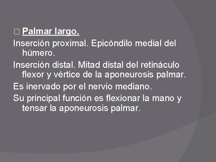 Valeria Delgado Traa MUSCULATURA DEL MIEMBRO SUPERIOR Msculos