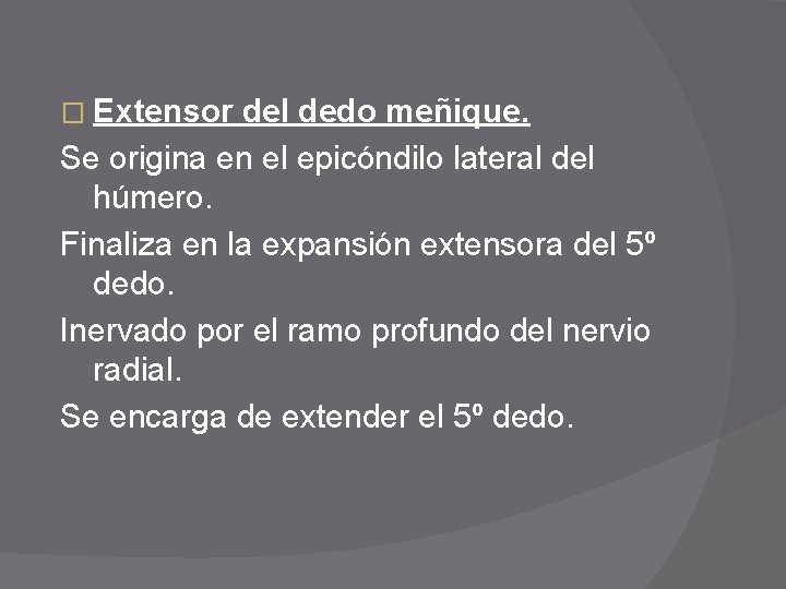 Valeria Delgado Traa MUSCULATURA DEL MIEMBRO SUPERIOR Msculos