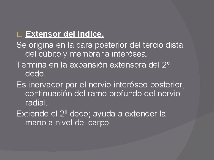 Valeria Delgado Traa MUSCULATURA DEL MIEMBRO SUPERIOR Msculos