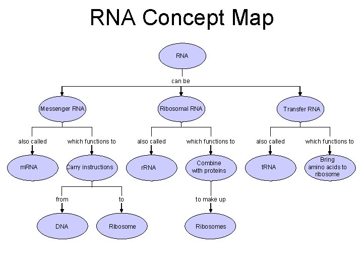DNA and Protein SynthesisREPEAT DNA contains 4 bases