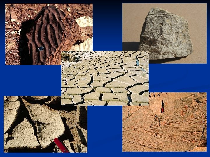 Sedimentary Petrology GEO 333 Lab 3 Clastic Sedimentary